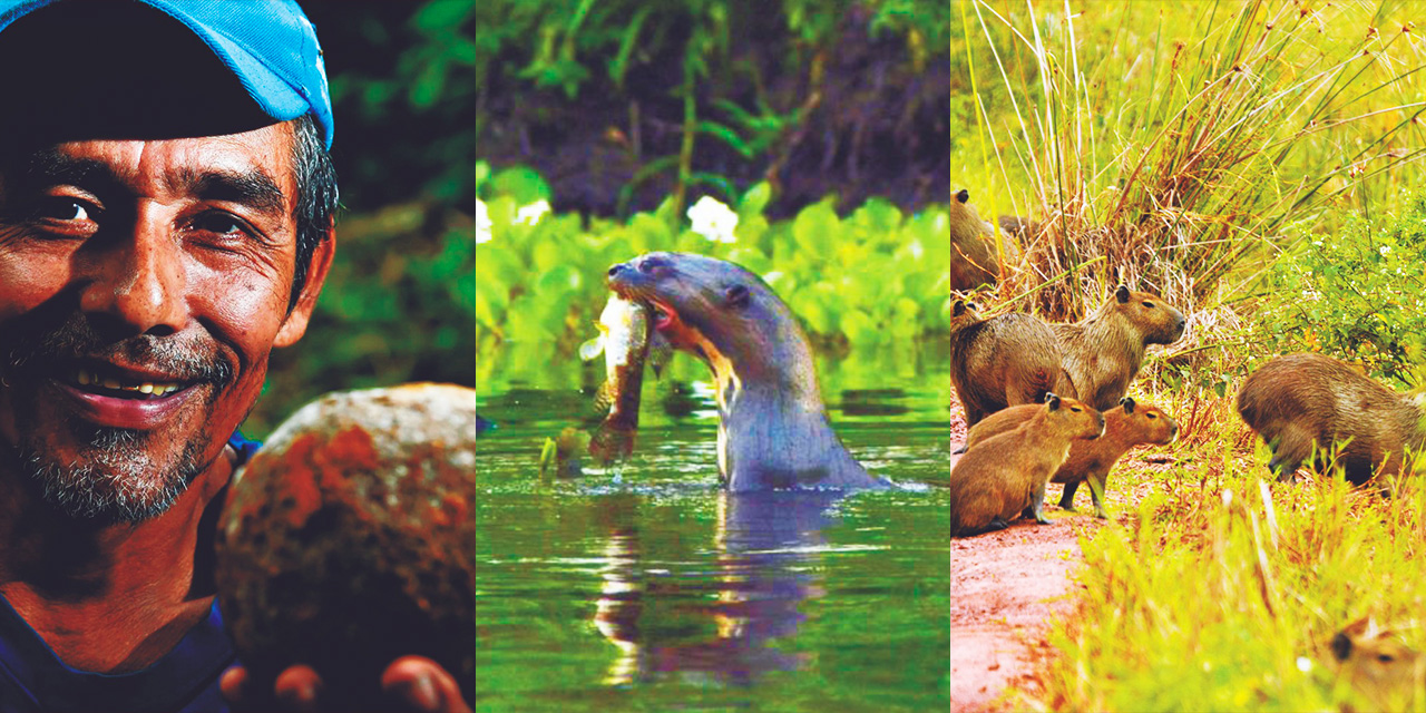 Manuripi, un rico contraste entre flora y fauna amazónica